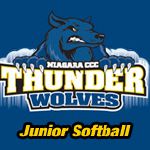 Junior Thunderwolves Softball (@jrthunderwolvessoftball) - Decide