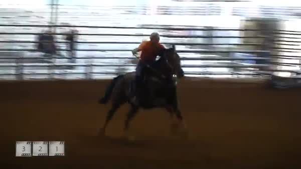 Tana Poppino (@tanapoppino) - Decide